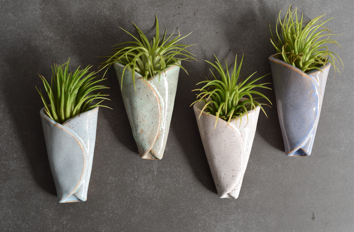 Mud & Maker - Air Plant Pottery - CONE – The Mash Pit